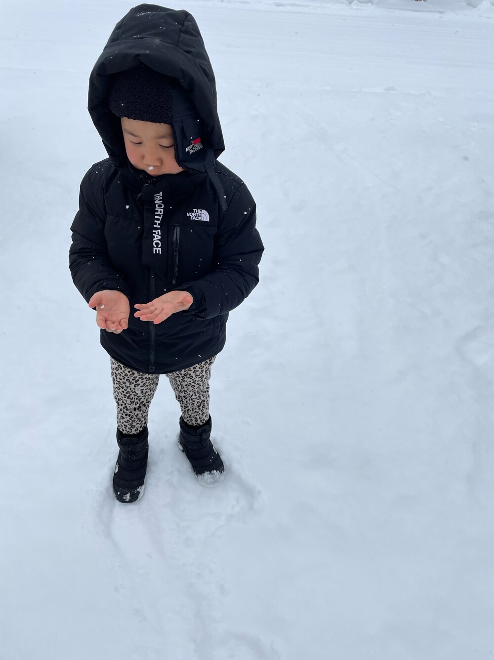 saori｜THE NORTH FACEのキャップを使ったコーディネート - WEAR