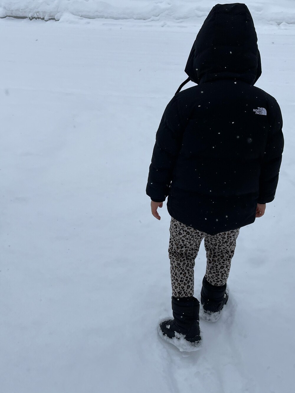 saori｜THE NORTH FACEのキャップを使ったコーディネート - WEAR