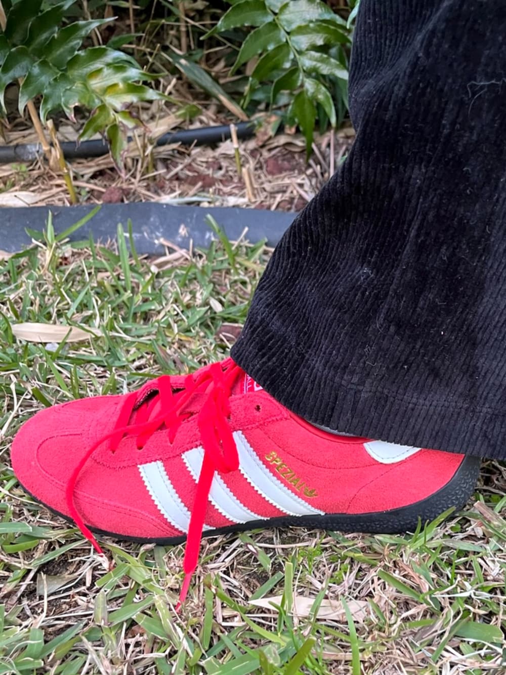 Hinari(アディダス オリジナルスショップ 横浜ビブレ)｜adidasのシューズを使ったコーディネート - WEAR