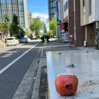 punio のコーディネート一覧 - WEAR