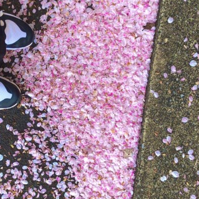 manullyのコーディネート一覧 - WEAR