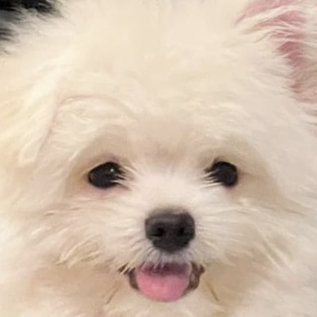 Zuumyのコーディネート一覧 - WEAR